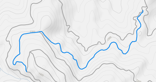 Upper Tripp's Loop Nordic Skiing Trail - Spokane, WA