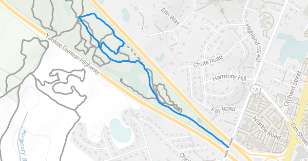 DTF Front Loop Multi Trail - Dedham, Massachusetts