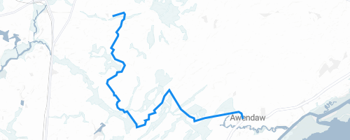 Palmetto Trail - Swamp Fox Passage Multi Trail - Charleston