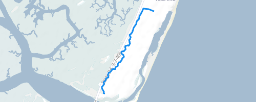 Diamondback Rattlesnake Trail Mountain Biking Trail - Beaufort