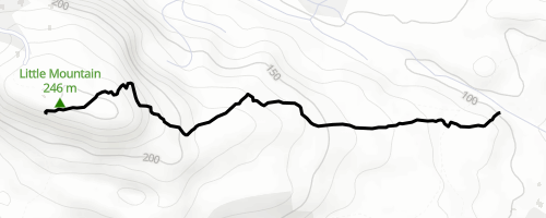 D Line Mountain Biking Trail - Parksville, BC