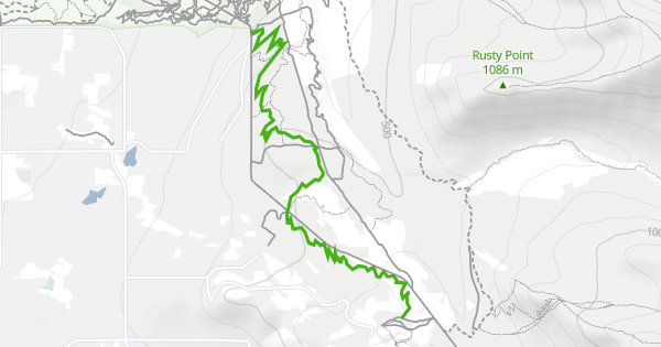 Hemlock Burn Trail Mountain Biking Trail - Anchorage