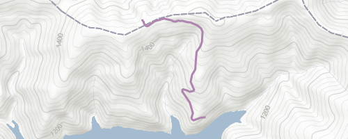 Curmatura Lorescului - Lacul Pecineagu Multi Trail