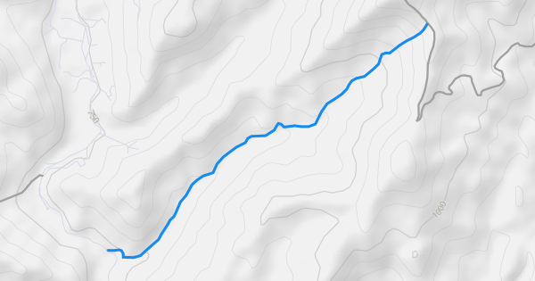 Tate Branch Trail Hiking Trail - - Georgia | Trailforks