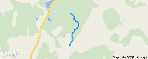 Te Ranga (Rainbow Mountain Trail) Mountain Biking Trail - Rotorua