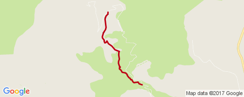 Cockayne Alley Mountain Biking Trail - Craigieburn Forest Park