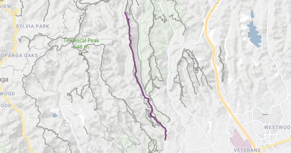 Sullivan Ridge Mountain Biking Trail - Santa Monica