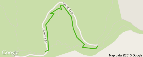 Mt Vernon Mountain Biking Trail - Christchurch