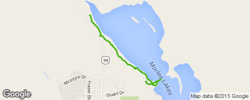 Morfee Lake Trail Multi Trail - Mackenzie, BC