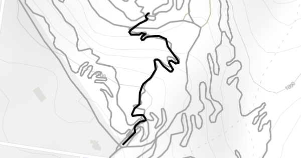 Cheeseburger Mountain Biking Trail - Toowoomba