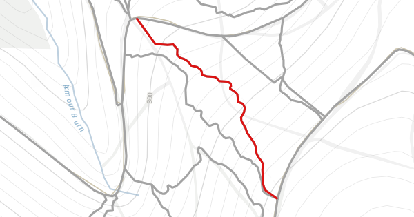 Green Wing Mountain Biking Trail - Innerleithen