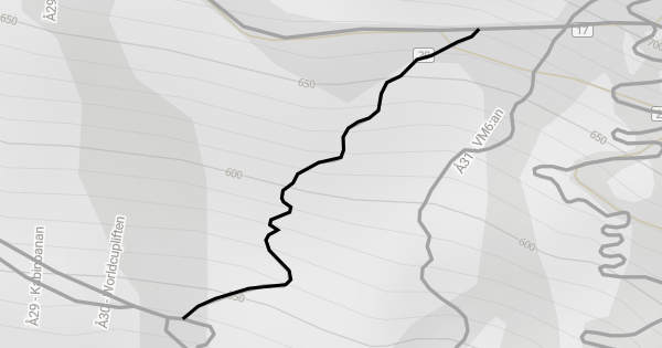 Nelson Mountain Biking Trail - Åre Bike Park, Åre