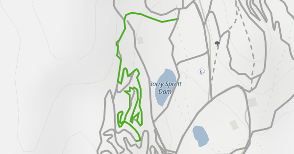 102 Mountain Biking Trail - Rowallan Park, Mackay