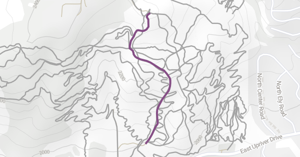 Camp Sekani/Downhill Course Access Road Mountain Biking Trail - Spokane