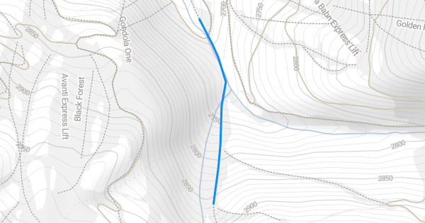 Riva Ridge Skiing Trail - Vail, Colorado | Trailforks