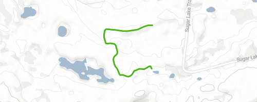 Snag Loop Skiing Trail - Grand Rapids, Minnesota