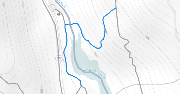 Barnes Camp Loop Hiking Trail - Stowe, Vermont