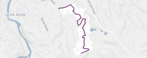 Colson Road Bush Access Track Mountain Biking Trail