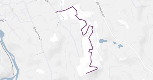 Colson Road Bush Access Track Hiking Trail