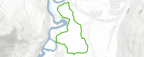 Apgar Flats Horse Trail Horseback Trail - Apgar, Montana