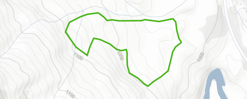 Apgar Mountain Horse Loop Horseback Trail - Apgar, MT