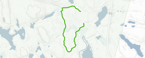 Leaf Lake (Thistle Lake Loop) Skiing Trail - Whitney