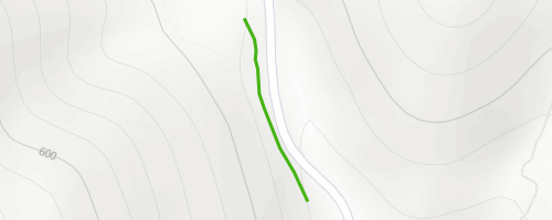 Forest Loop - Feeder DH Section Mountain Biking Trail - Rotorua