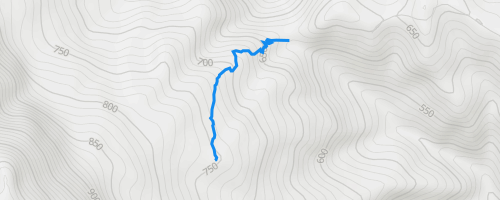 Livadhet To Besh Trail Hiking Trail - Tirana