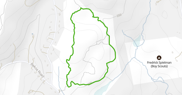 Yellow Loop Trail Multi Trail - Tolland, Connecticut