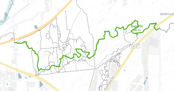 Paumanok Path Manorville Section Hiking Trail - Manorville