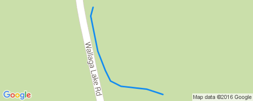 Cobargo Climb Mountain Biking Trail - Bermagui