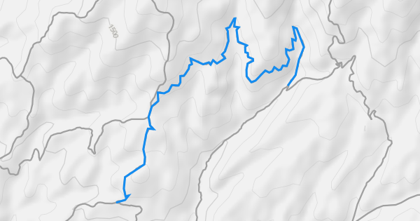 Watchman Trail Mountain Biking Trail - Boise, Idaho