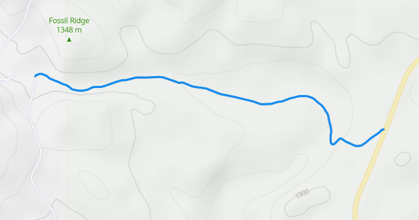 Cold Brook Canyon Trail Hiking Trail - Hot springs