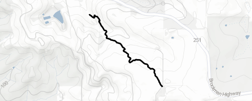 The Local (Upper) Mountain Biking Trail - Nannup