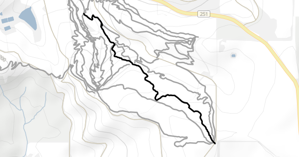 The Local (Upper) Mountain Biking Trail - Nannup