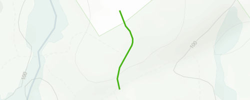 Trail to Private Bike Park Multi Trail - Wrentham, MA