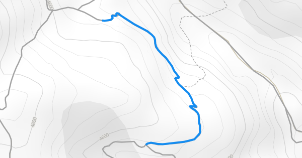 Las Minas Del Rey Barbol - Bosque De Los Ents Multi Trail - Guardo