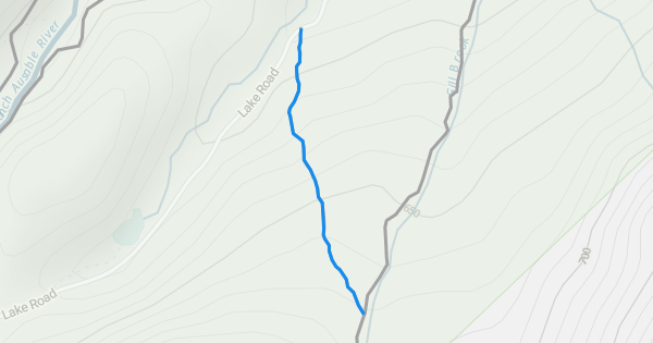 Gill Brook Cutoff Trail Hiking Trail - Lake Placid