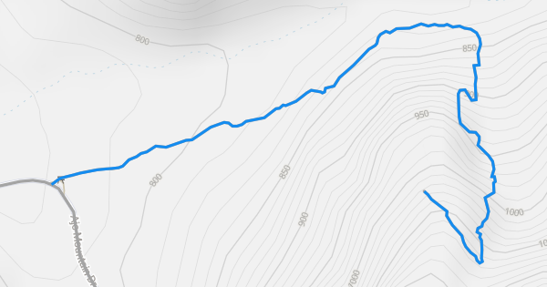 Arch Canyon Trail Hiking Trail - Ajo, Arizona