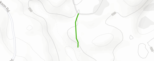 Grover Brown Access Spur Hiking Trail - Plymouth, NY