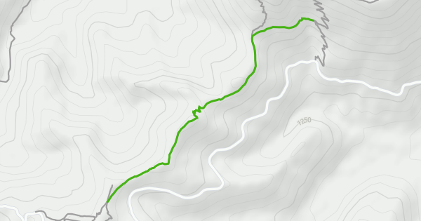 Mount Angeles Trail Hiking Trail - Port Angeles, WA