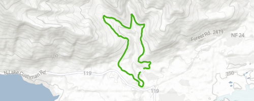 Upper Big Creek Loop Trail Hiking Trail - - Washington