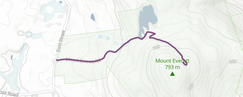 Mount Everett Road Multi Trail - Mount Washington, MA