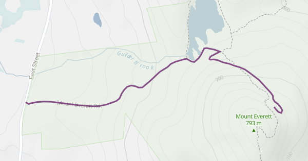 Mount Everett Road Multi Trail - Mount Washington, MA