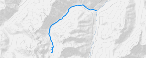 Royal Basin Trail Hiking Trail - Port Angeles, Washington