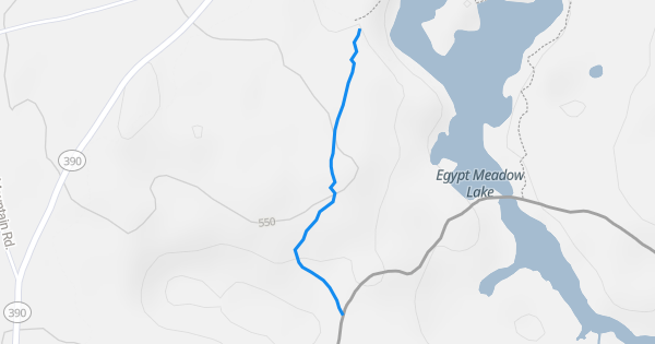 Panther Swamp Trail Hiking Trail - - Pennsylvania