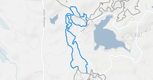 Loop B Multi Trail - Tyler State Park, Tyler, Texas