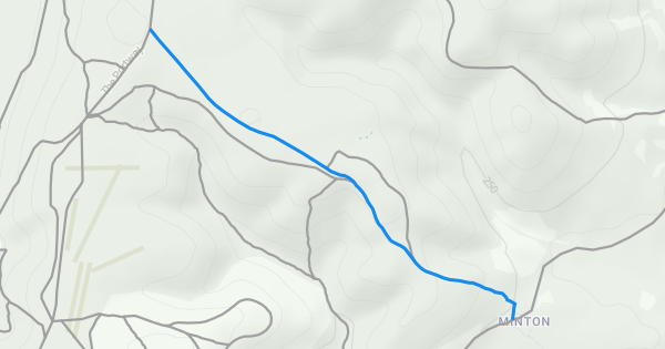 Minton Hill Multi Trail - Long Mynd, Shrewsbury