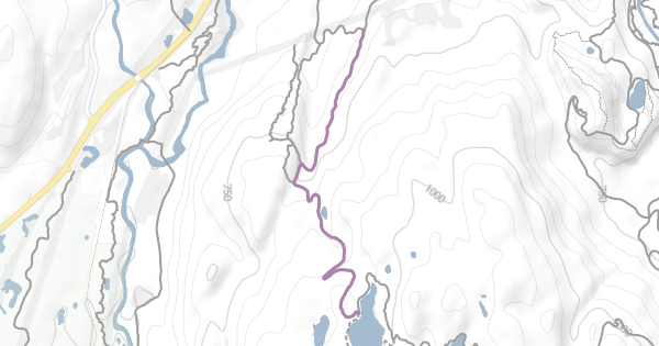 Jane Lakes FSR Mountain Biking Trail - Whistler, BC