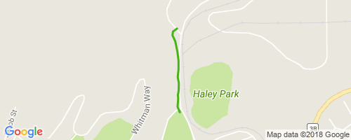 Singletrack Mountain Biking Trail - Warfield, BC